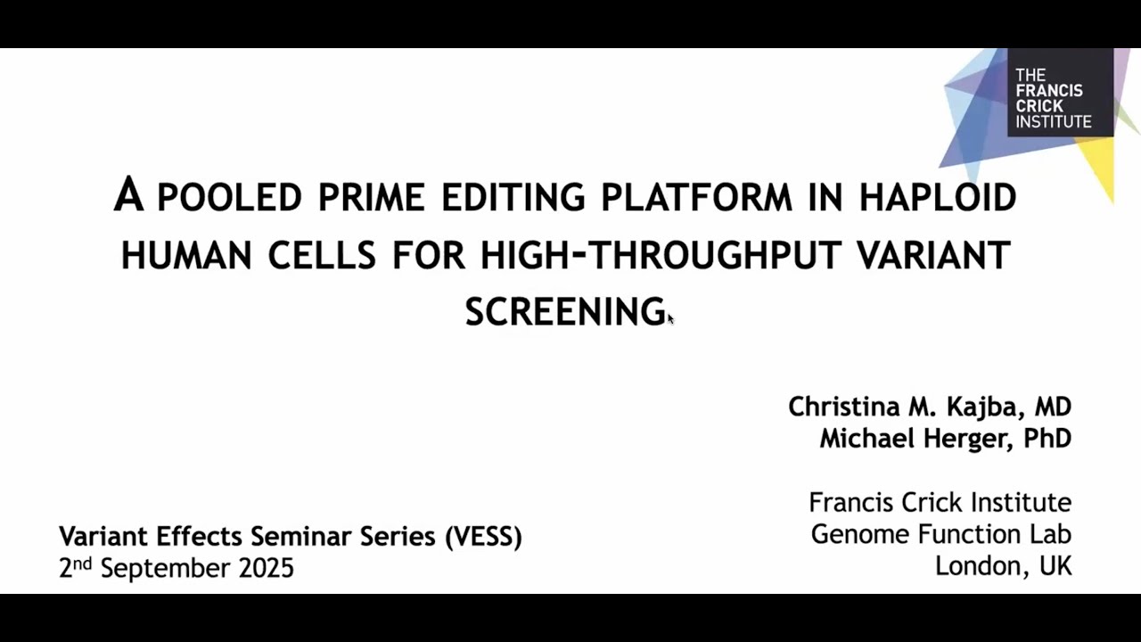 A pooled prime editing platform in haploid human cells for high-throughput variant screening
