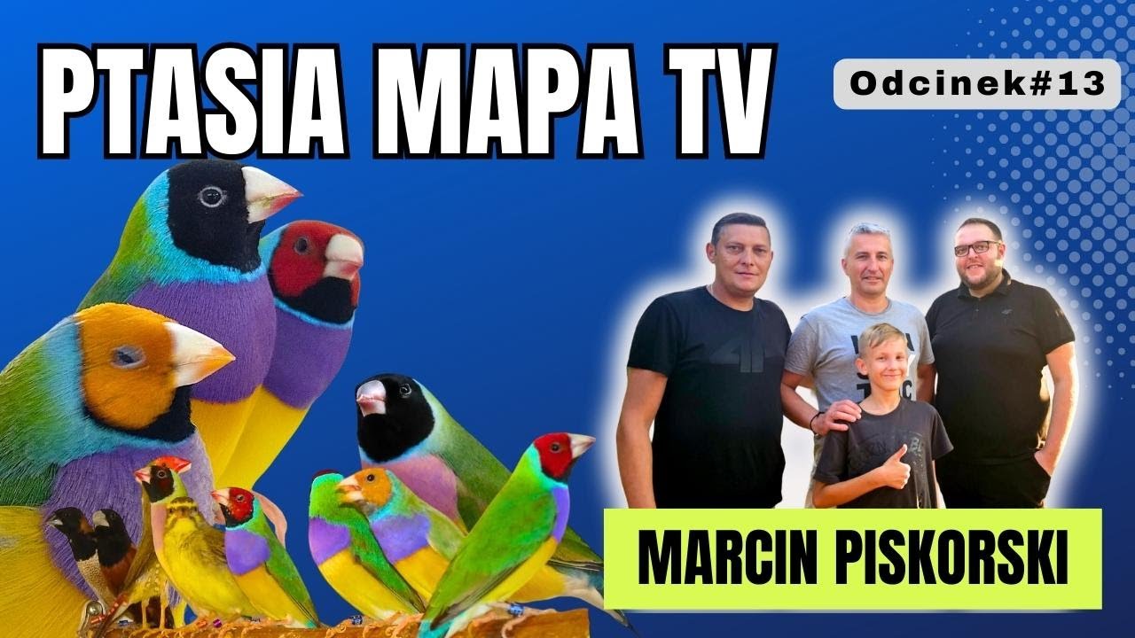 Ptasia Mapa TV Odcinek#13 Marcin Piskorski