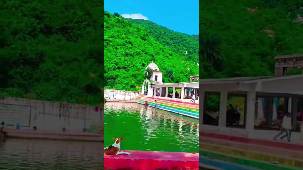 #sinear #susheel #kumar 🥀🥀🤩🤩😘🌹♥️🥀🥀