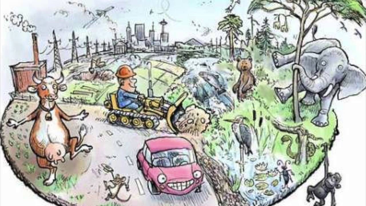 20 Environmental Problems in 70 Seconds