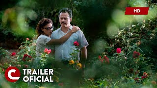 Predestinado filme - Veja onde assistir online