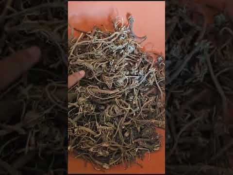 Akarkara Powder - Akarkara Root Powder Latest Price, Manufacturers ...