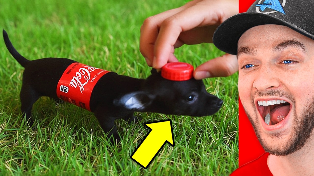 World’s FUNNIEST YouTube Shorts!