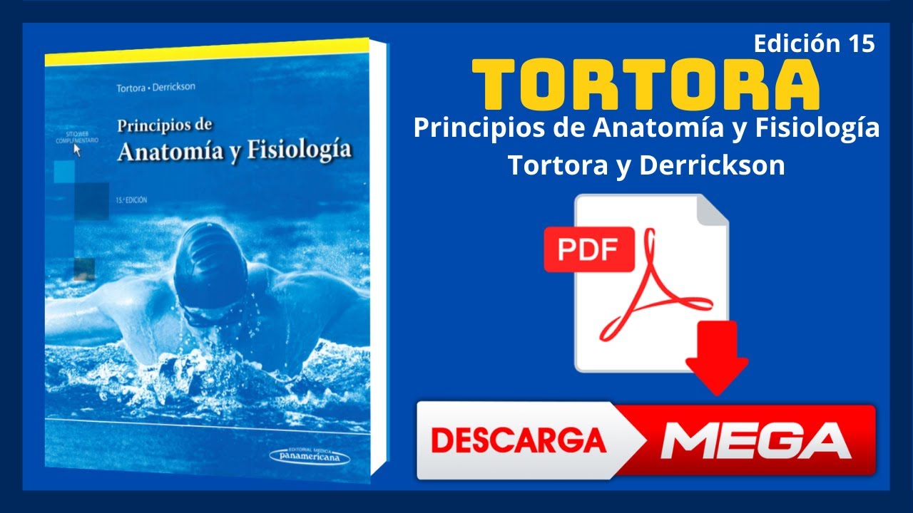 Principios de Anatomía y Fisiología Tortora Edición 15 ✅Descargar PDF GRATIS✅