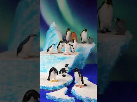 Are You Ready to Meet the COOLEST Penguins on Earth?