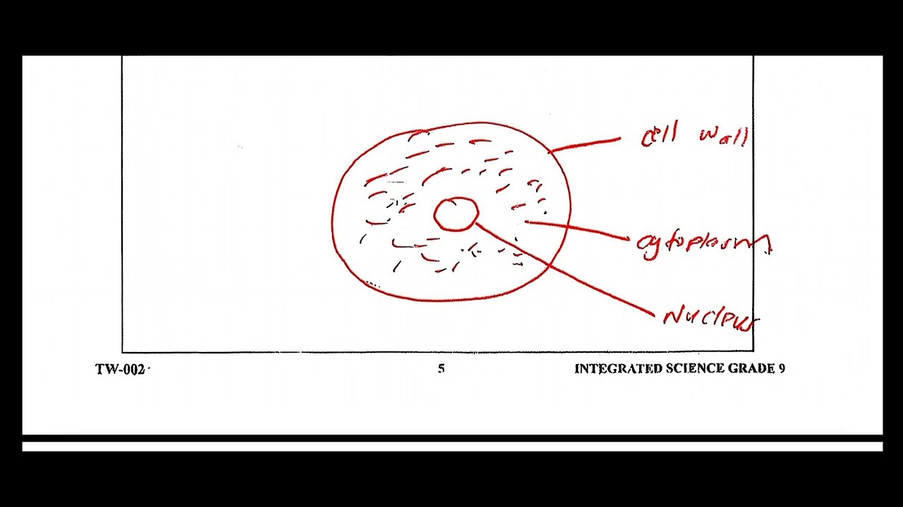 INTERGRATED SCIENCE GRADE 9| TARGETER WINGS 002 2026