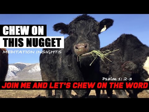 Like a cow that chews the cud, let's chew insight out of the word together through meditation