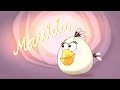 Angry Birds Meet Matilda Watch HD Mp4 Video Download Free