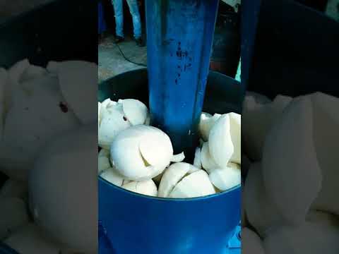 Coconut flakes machine and Deshelling Machine Manufacturer | M H ...