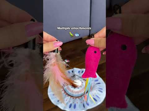 3-in-1 Interactive Cat Toy for Hours of Fun #cattoys #catessentials