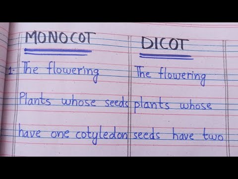 Monocot plants and Dicot plants | Difference between monocot and dicot plants | Flowering plant type