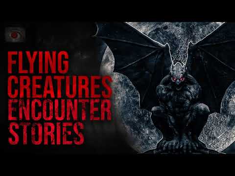 CABIN IN THE WOODS - 3 SCARY STORIES OF FLYING HUMANOID CREATURES