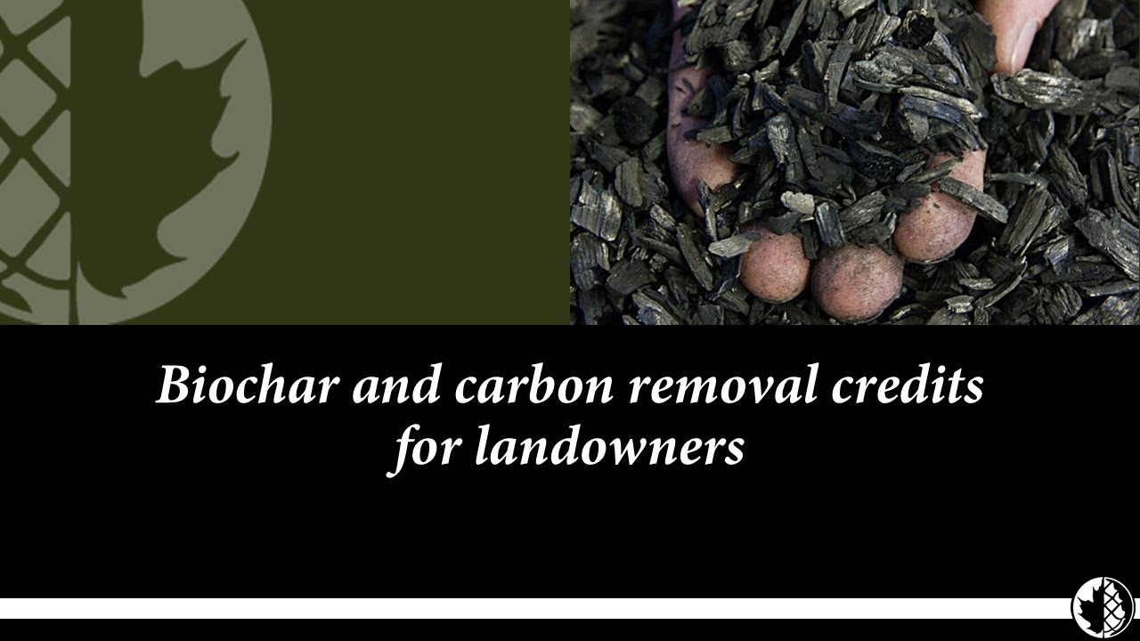 Biochar and carbon removal credits for landowners