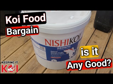 Koi Food Bargain of the Century Nishikoi Growth