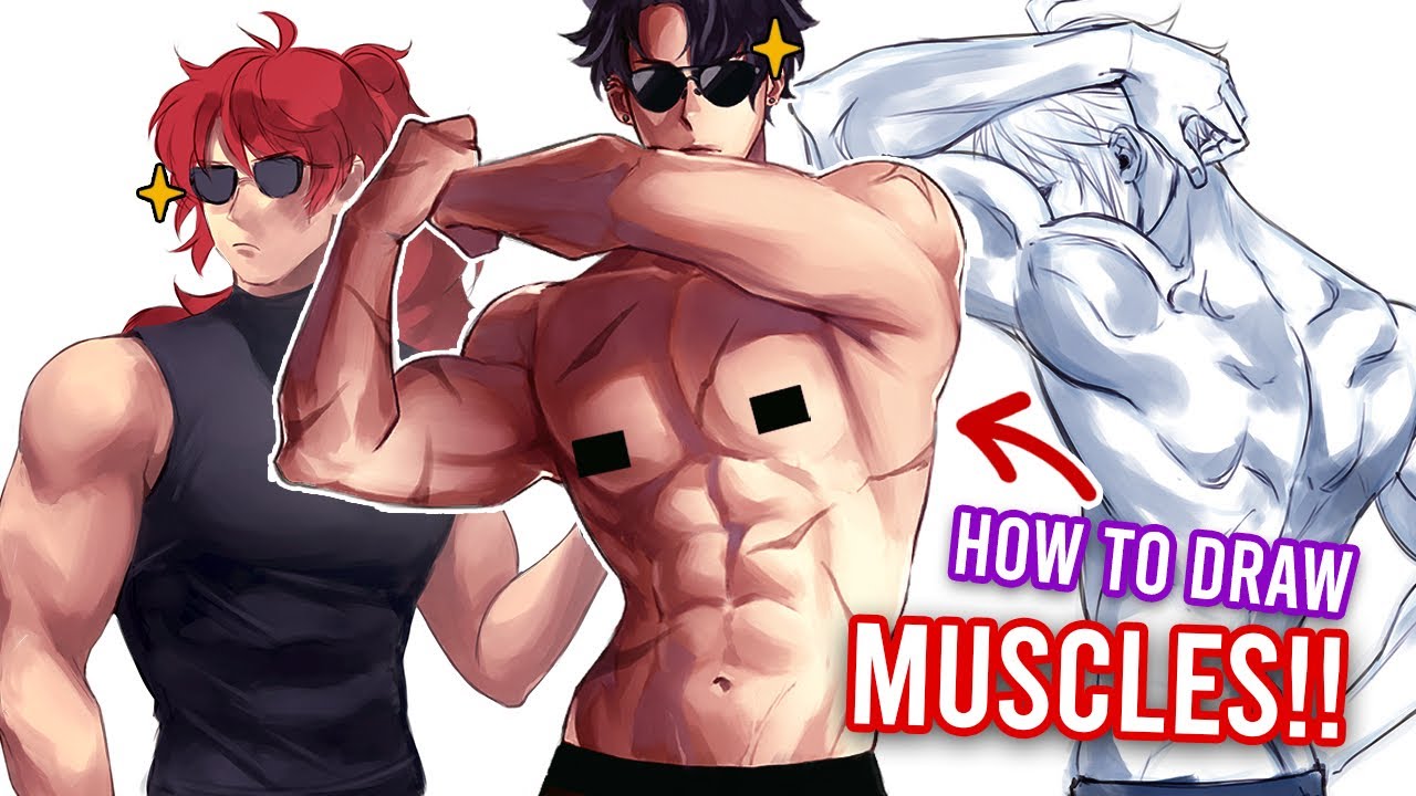 How I DRAW MUSCLE & ANATOMY 💪 (Male Ver.)