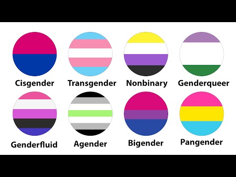 All Genders Explained in 5 Minutes