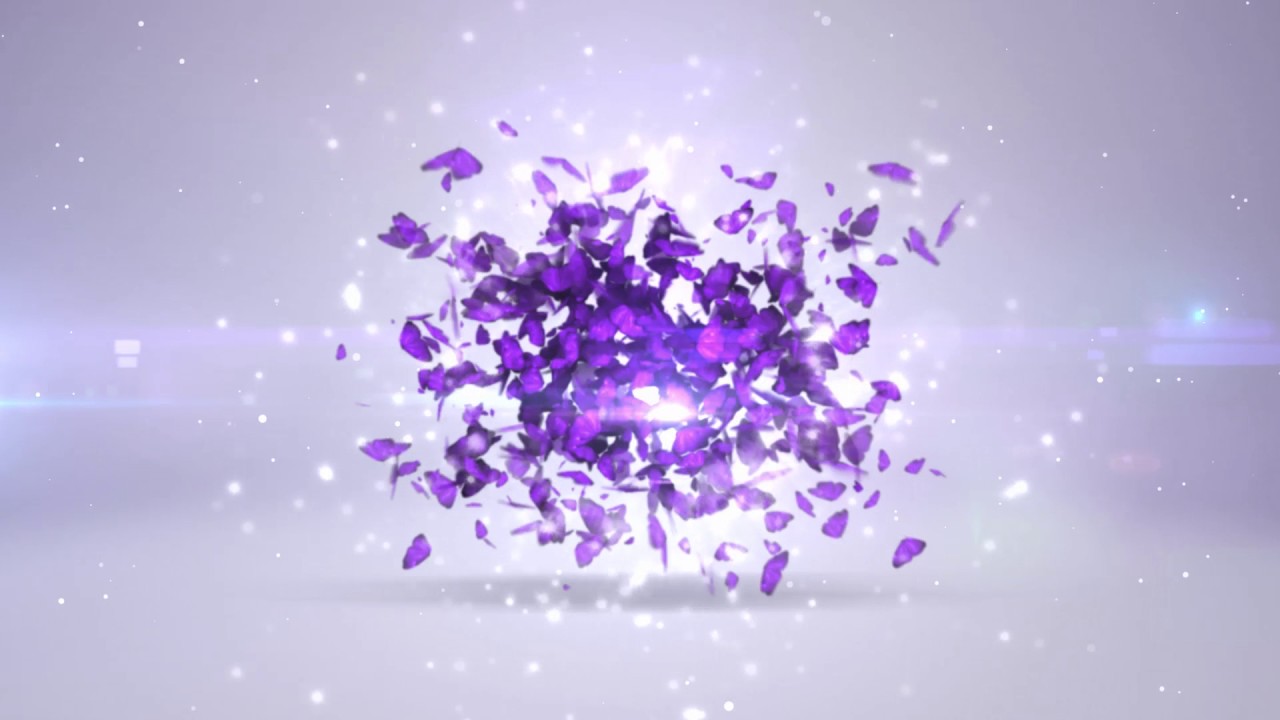 449 v1 - Butterfly fly crystal diamond logo reveal intro animation pink
