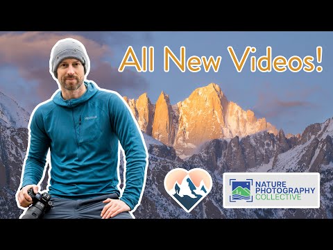YouTube Update: Joshua Cripps Photography is now The Nature Photography Collective