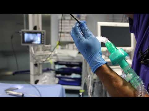 Fiber Optic Laryngoscope - Oxylife Fiber Optic Laryngoscope Latest ...