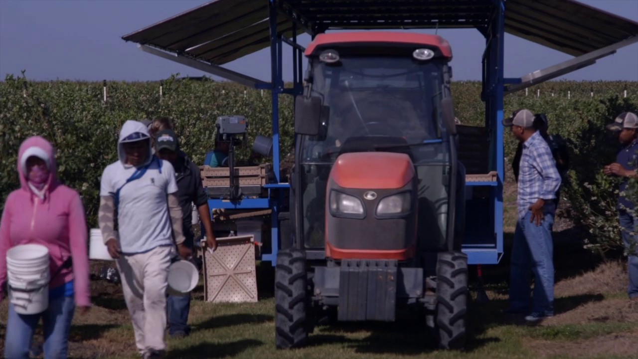 The Collaborative Presents: Stewarding God's Provision