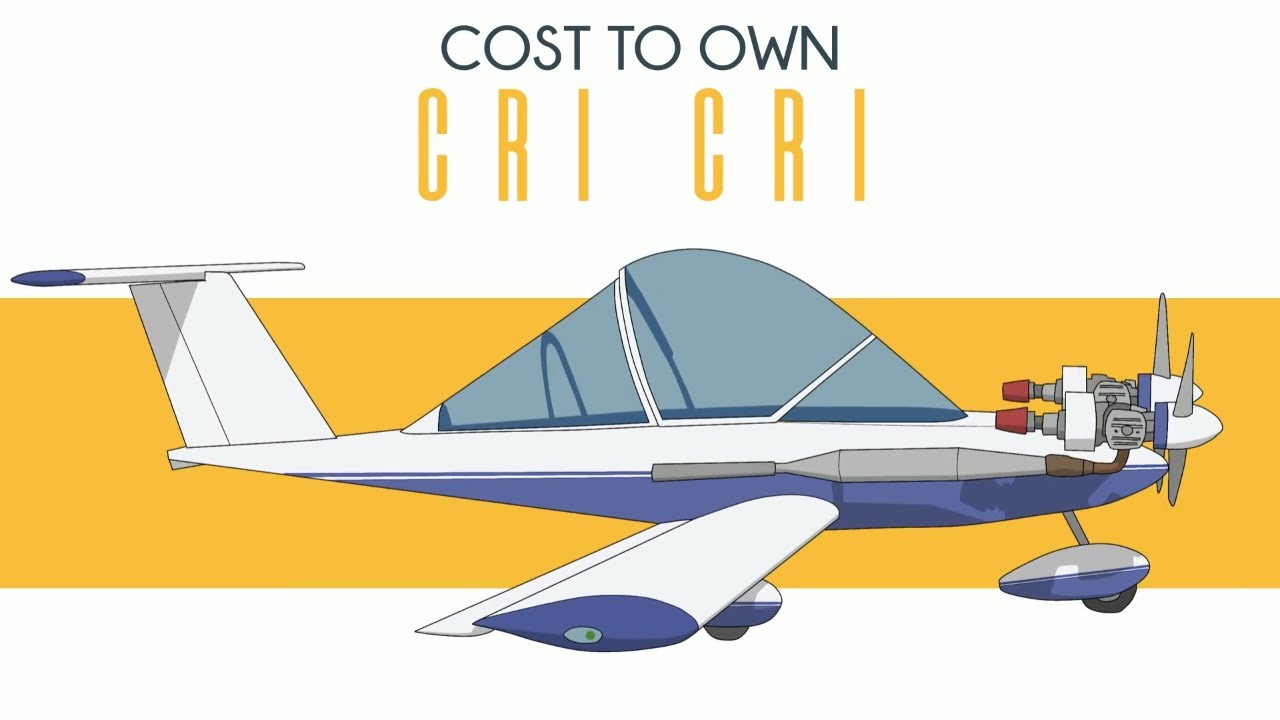 Cri Cri - The Smallest and CHEAPEST Twin Ever - Subscribe to: Complete ...