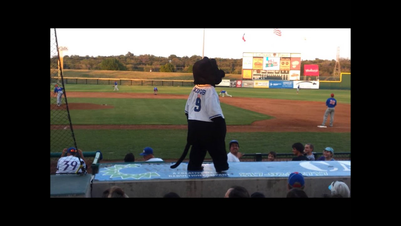 Fort Worth Cats Baseball || Me As Dodger The Cat