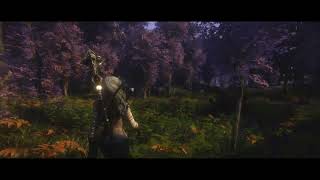 Riften Never Look So Beautiful at Skyrim Special Edition Nexus - Mods ...