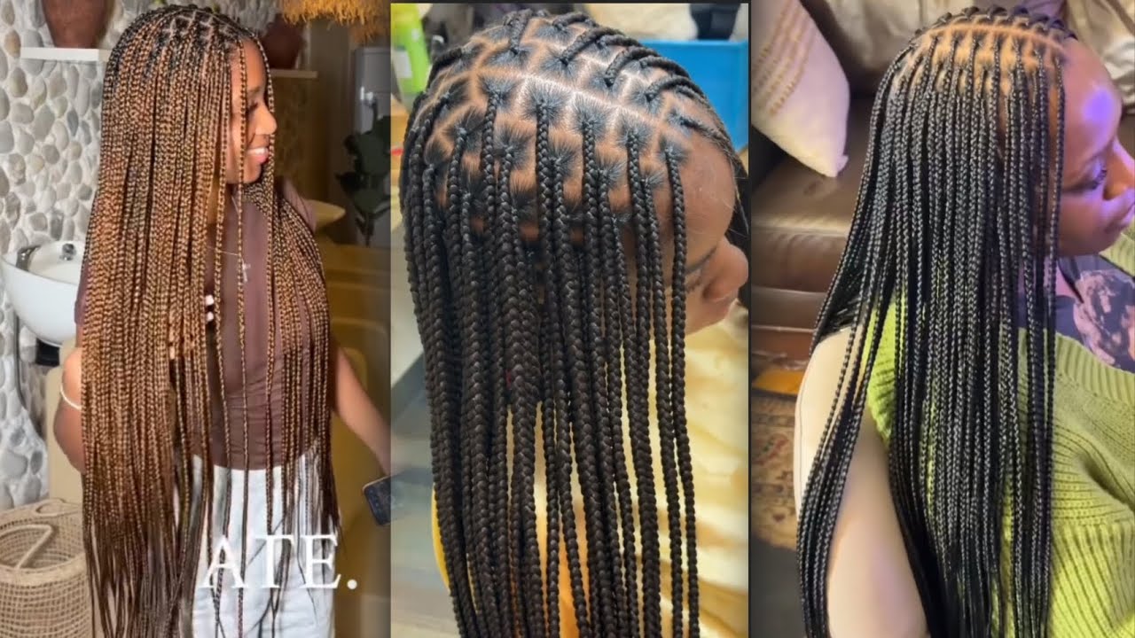 35 Knotless Braids Hairstyles with Best Ways to Wear 12 | Long twist
