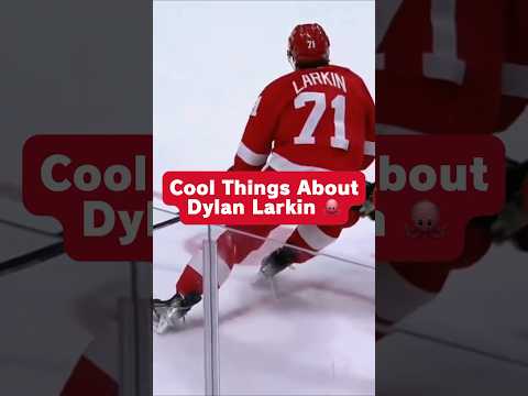 Cool Things About Dylan Larkin π