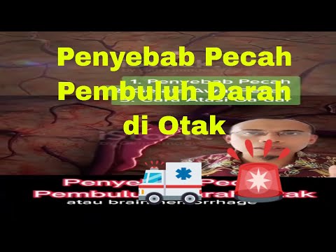 Penyebab Pecahnya Pembuluh Darah di Otak