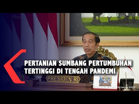 Sektor Pertanian Sumbang Pertumbuhan Ekonomi Tertinggi di Kuartal II