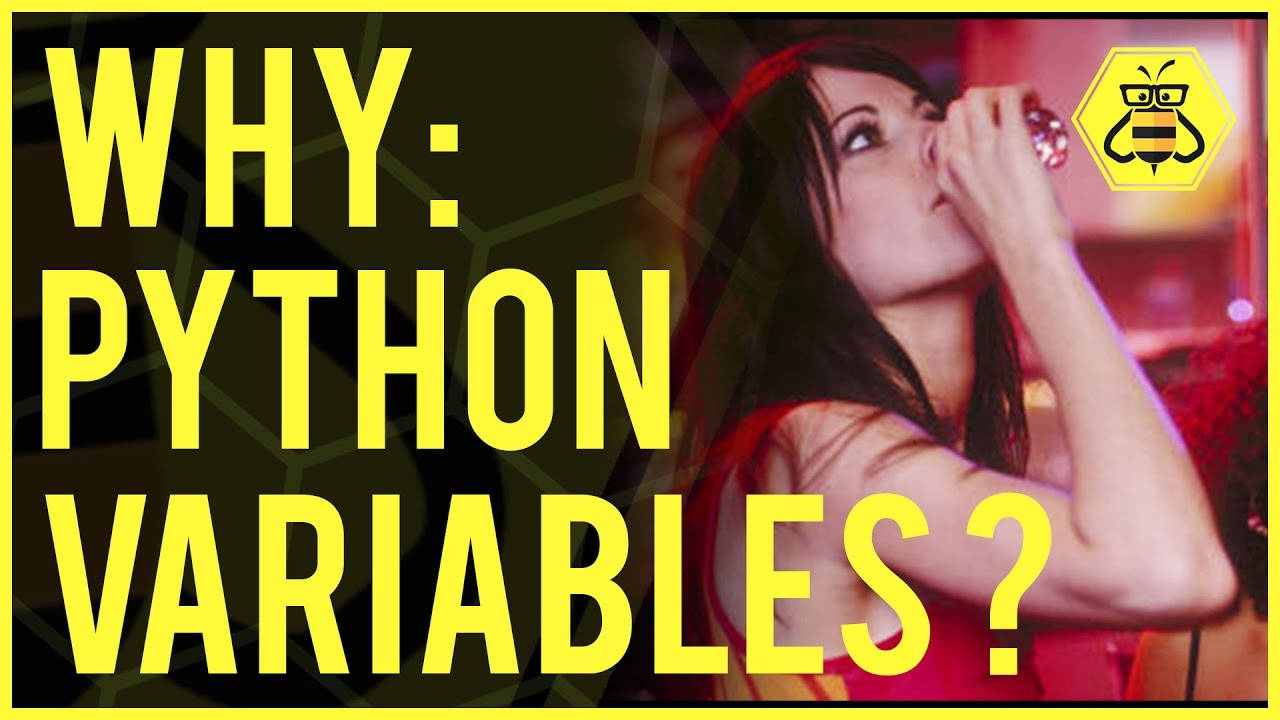 Why: Python Variables, Types, Objects, Mutability & State? (w/ Mnemonics)