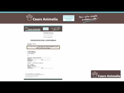 La convention de stage Cours Animalia