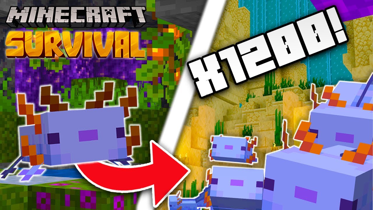 He Conseguido 1200 AJOLOTES AZULES en MINECRAFT SURVIVAL