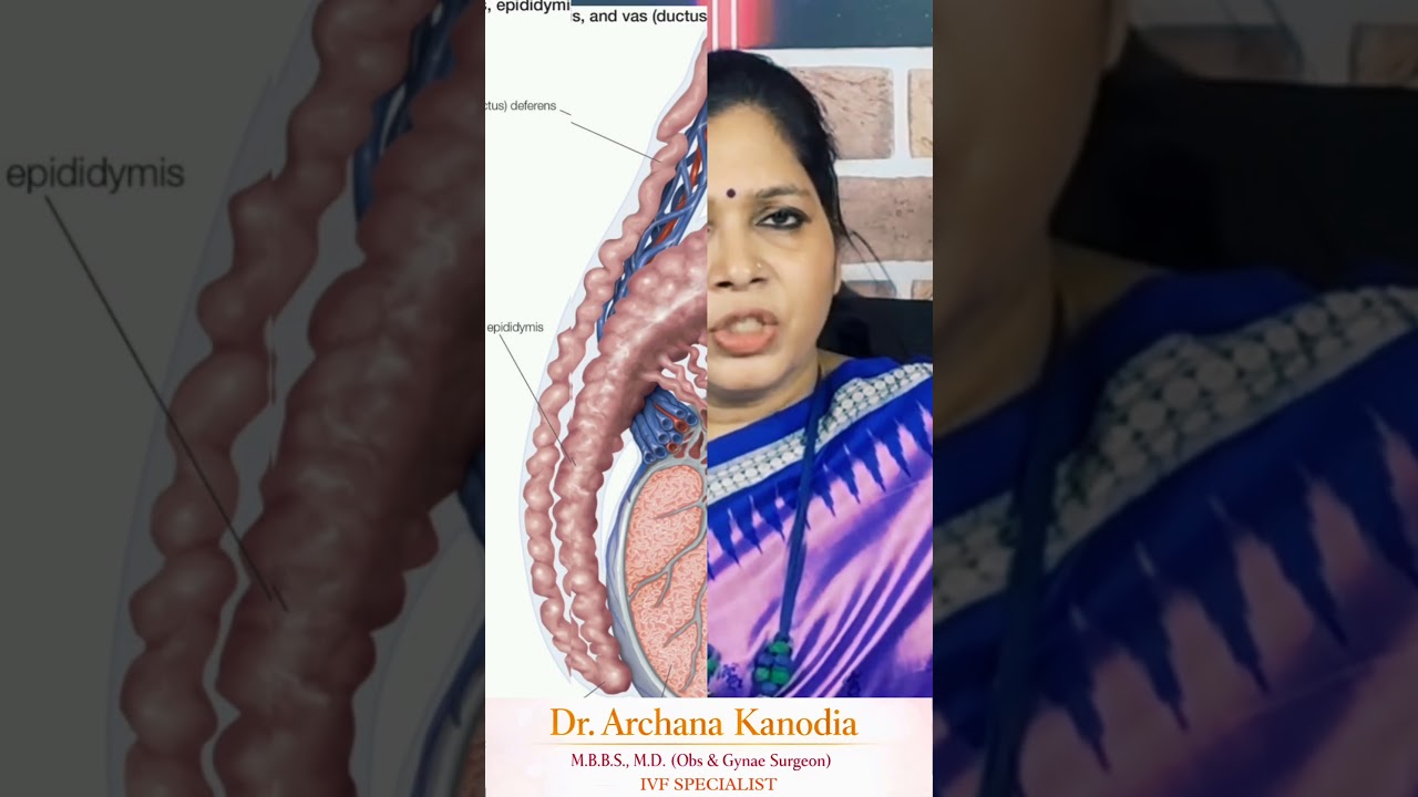 Understanding Puberty: Physical, Emotional & Hormonal Changes Explained | Dr. Archana Kanodia