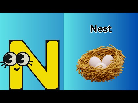 Nature's Wonders: 7 Fantastic Things That Start with N | Educational Video for Kids