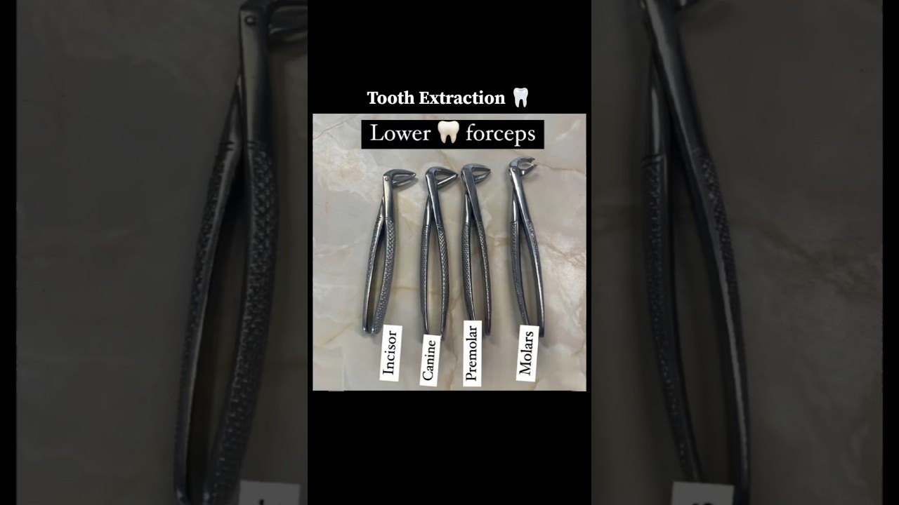 Tooth Extraction Forceps Instrument | #bds