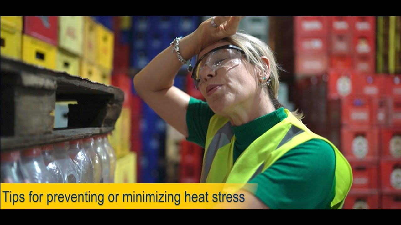 8 Tips for preventing and minimizing heat stress