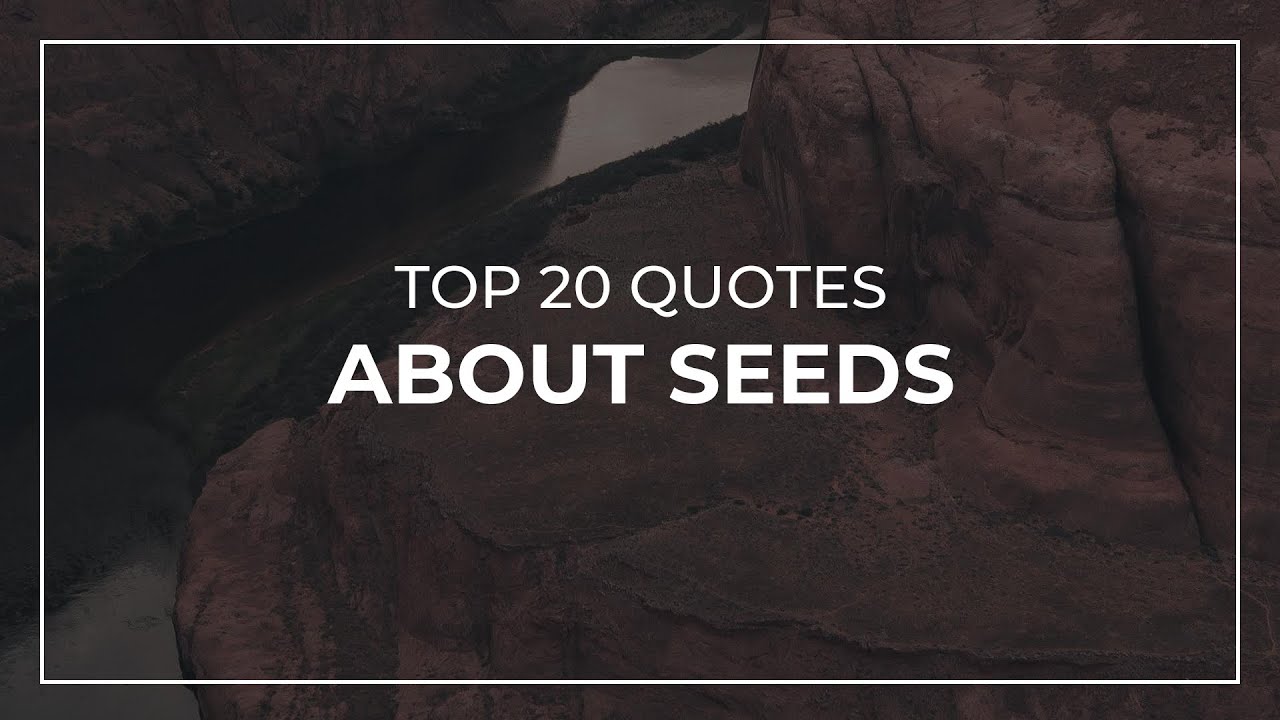 TOP 20 Quotes about Seeds | Quotes for You | Quotes for Pictures