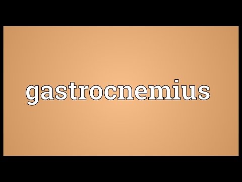 Gastrocnemius Meaning