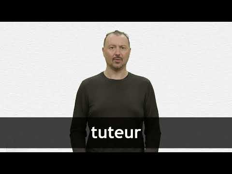 English Translation of “TUTEUR” | Collins French-English Dictionary