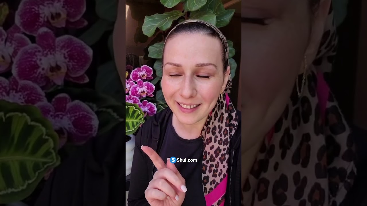 Esty Wolbe of Kosher.com | Hamentash Wars Purim | Bal Harbour FL | Hechal Shalom & Shul.com