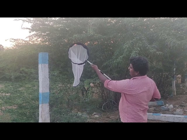 Insect Sampling. Collection, and Analyses - Insect Collecting Net LI-IR ...