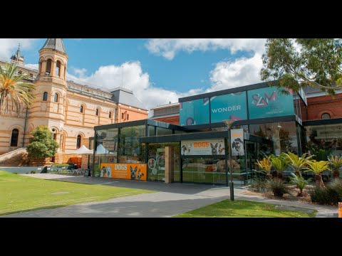 Trip to the South Australian Museum