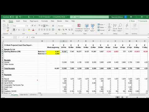 13 Week Cash Flow