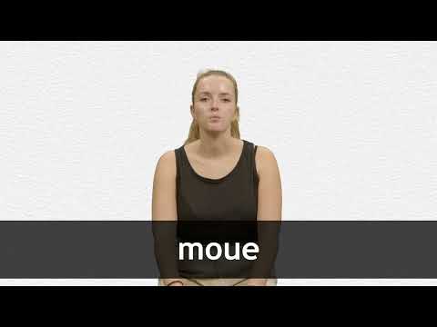 English Translation of “MOUE” | Collins French-English Dictionary
