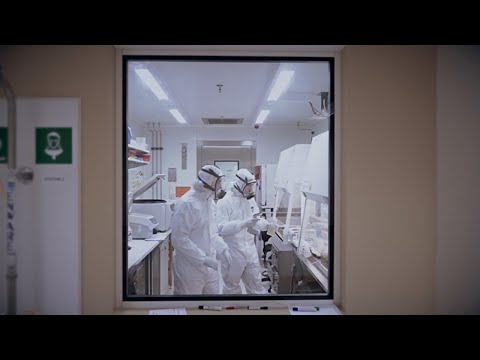 Immunologist explains how ‘supercharged’ cells help fight against COVID-19