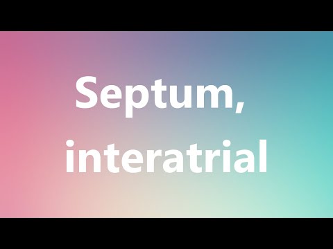 Septum, interatrial - Medical Definition and Pronunciation