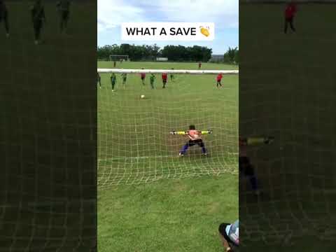 The little man is an elite goal keeper ???? (via @hello_jr05) #shorts