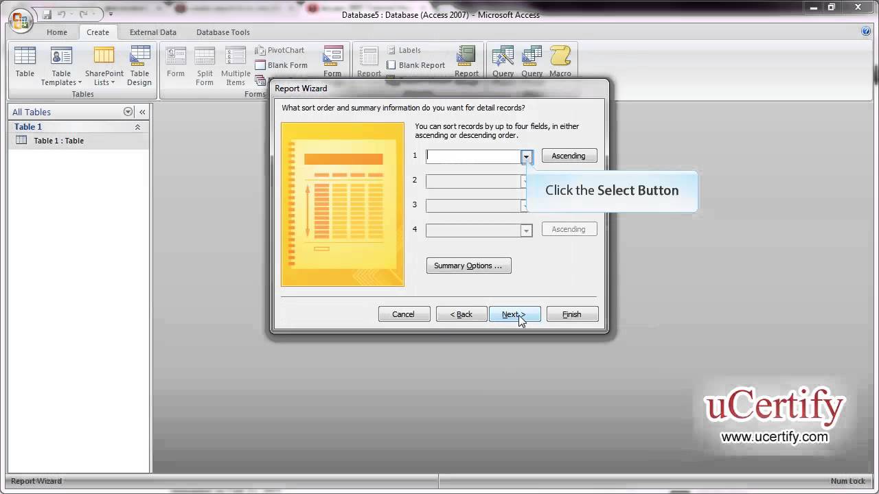 Create and Modify Reports
